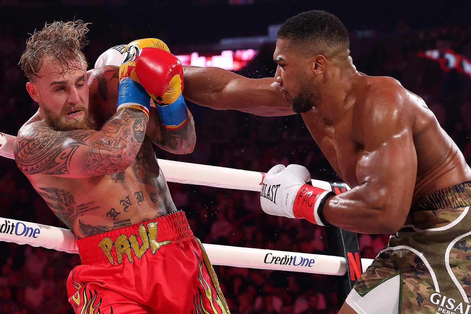 Why We Don’t Show Every Fight Night: The Real Economics of Boxing, UFC ...